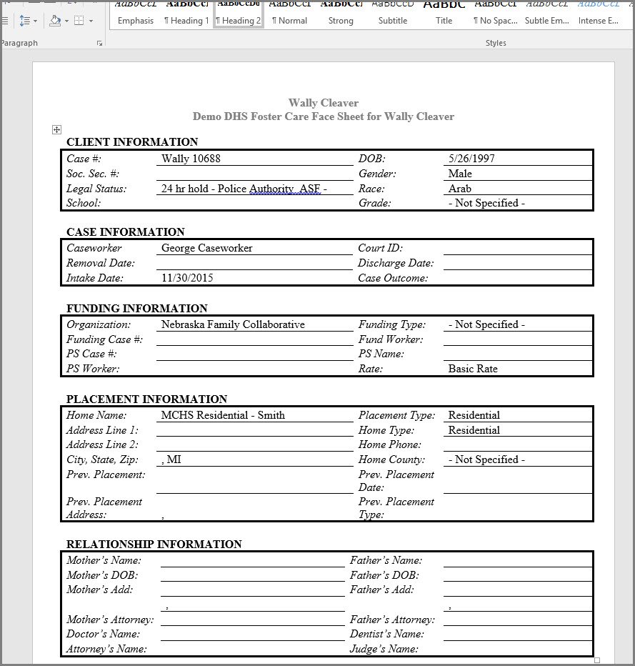 Printable Case Management Templates Printable World Holiday