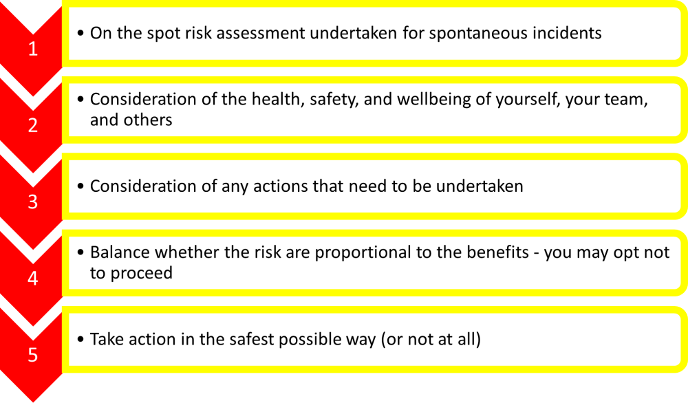 Risk Management - RWC Manual - 1st Edition