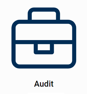 Audit Application Overview - Audit - #10