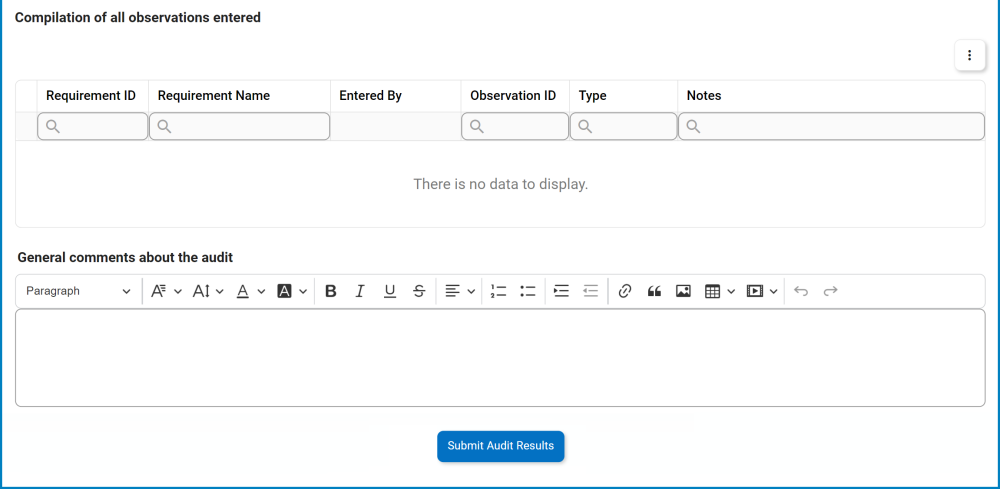 Execute Audit - Audit - #11.1