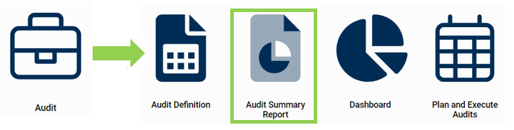 Audit Summary Report - Audit - #13