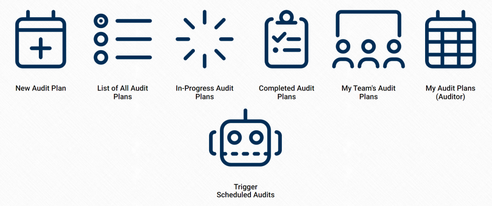 Plan and Execute Audit Plans - Audit - #11