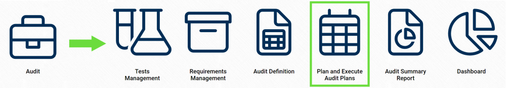 Plan and Execute Audit Plans - Audit - #11