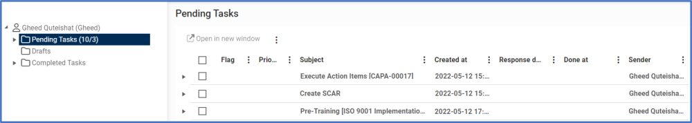 Execute Action Items - CAPA - #13