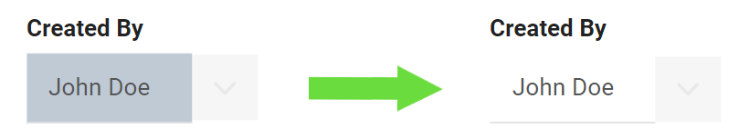 Disabled Fields – Transparent Option - DBP - Designer Manual - #14