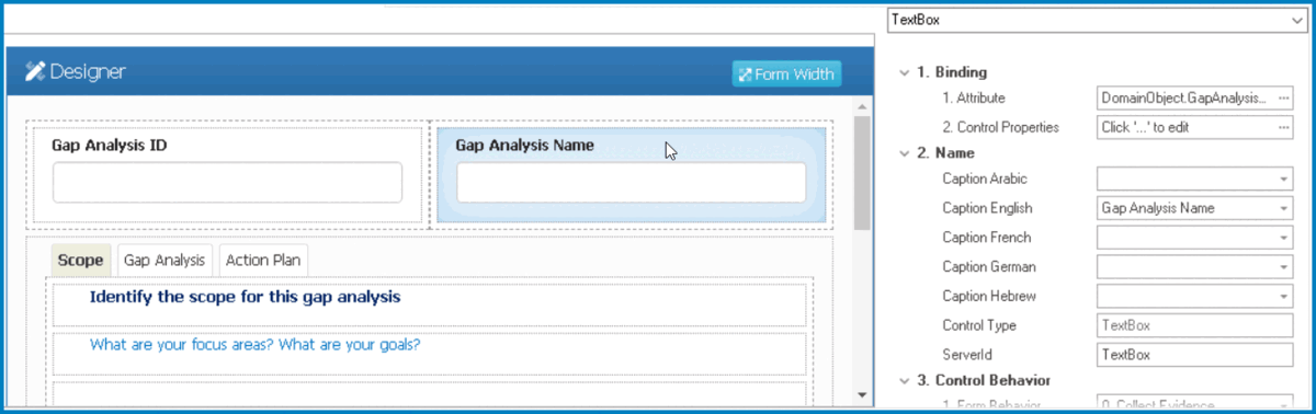 Form Entity Tab - DBP - Designer Manual - #14
