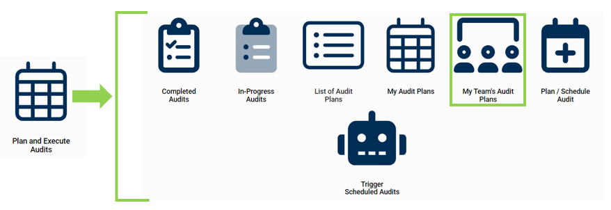 My Team’s Audit Plans - Audit - #10