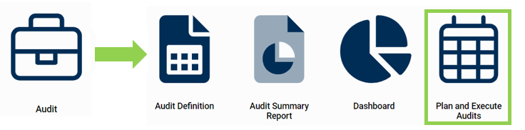 Plan and Execute Audits - Audit - #13