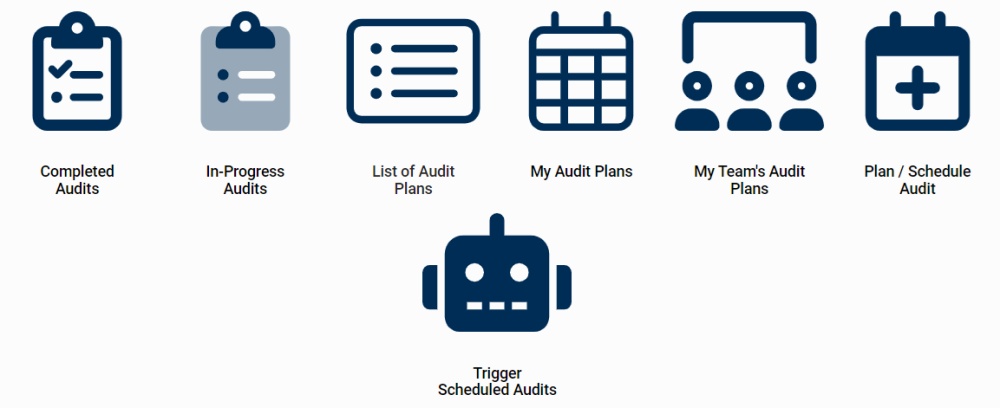 Plan and Execute Audits - Audit - #13