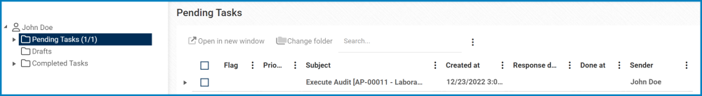 Execute Audit - Audit - #11