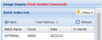 Batch Indexing - One Look (IBM i / Cloud) - 2