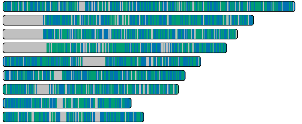 Analyze Phased Assemblies - User Guide to GenVision Pro - 18.0