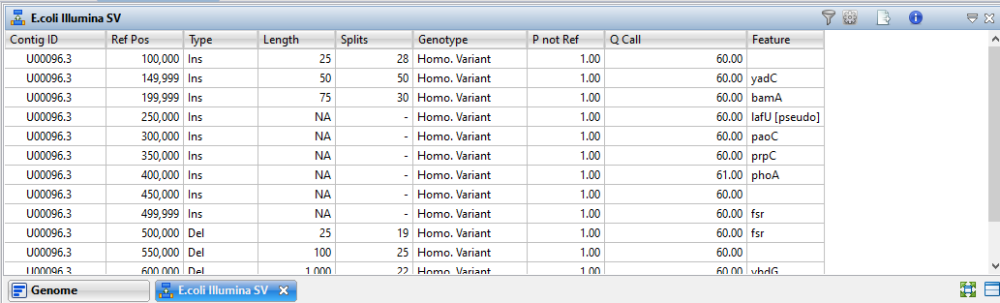 Structural variation calculation in long-read workflows - User Guide to ...