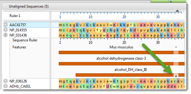 Features tracks - User Guide to MegAlign Pro - 17.3.1