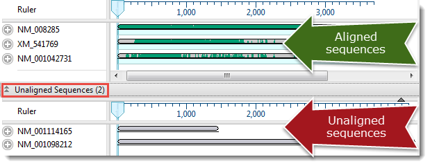 Overview after aligning and entering additional sequences - User Guide ...