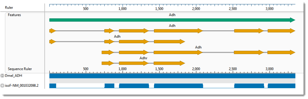 Part C: Use a Global pairwise alignment method - User Guide to MegAlign ...