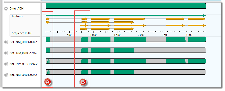 Part A: Compare results from three multiple alignment methods - User ...