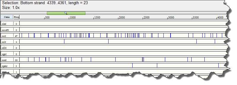 Minimap view - User Guide to SeqBuilder Pro - 17.5