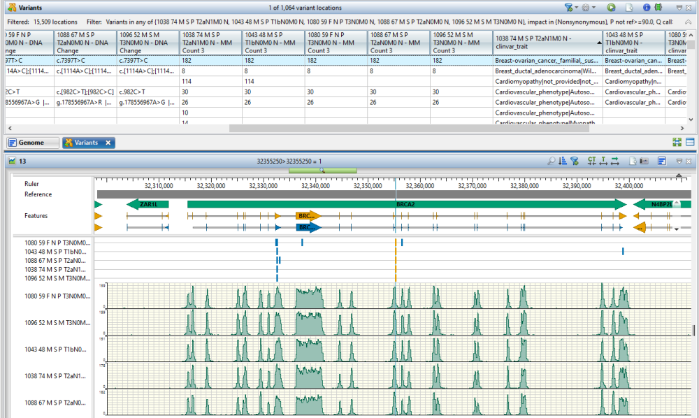 Explore Variants and Structural Variations - User Guide to GenVision ...
