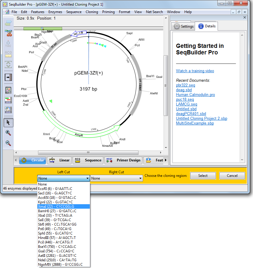 Step 4: Digest/linearize a circular vector - User Guide to SeqBuilder ...