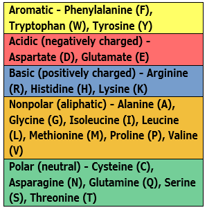Available color schemes - User Guide to MegAlign Pro - 17.4
