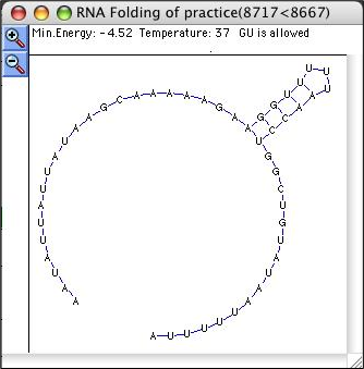 View a Portion of the Sequence as Folded RNA - User Guide to GeneQuest ...