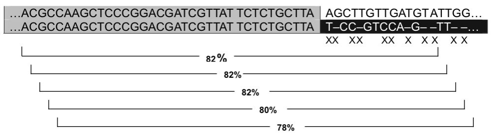 Calculation of “match percentage” - User Guide to SeqMan NGen - 17.4