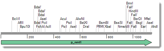Components of the Feature Library Manager - User Guide to SeqBuilder ...