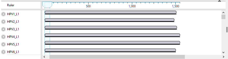 Part A: Add and align sequences - User Guide to MegAlign Pro - 17.5