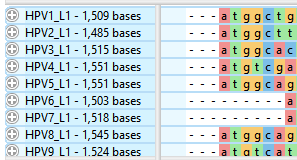 Part C: Change sequence names and rendering in the Sequences view ...