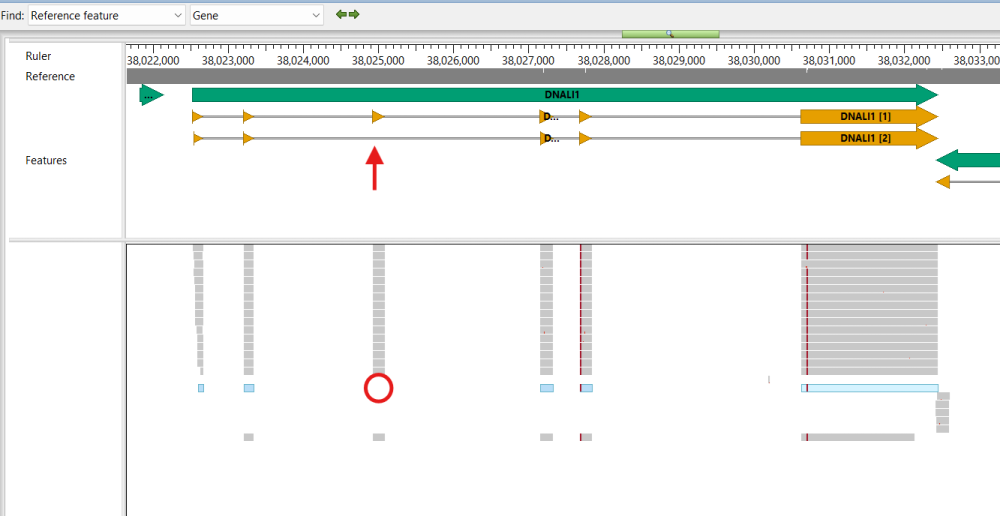 Discover Isoforms - User Guide to GenVision Pro - 18.1