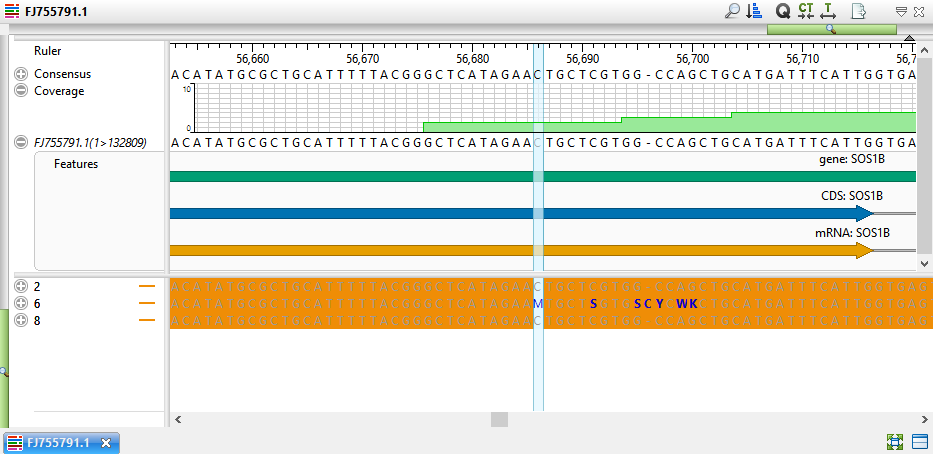 View multi-sample assemblies in the Alignment view - User Guide to ...
