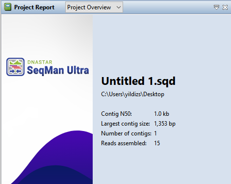 Project Overview - User Guide to SeqMan Ultra - 17.3.1