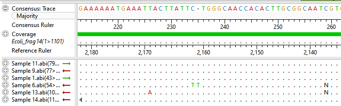 Default colors in the Alignment view - User Guide to SeqMan Ultra - 17.4