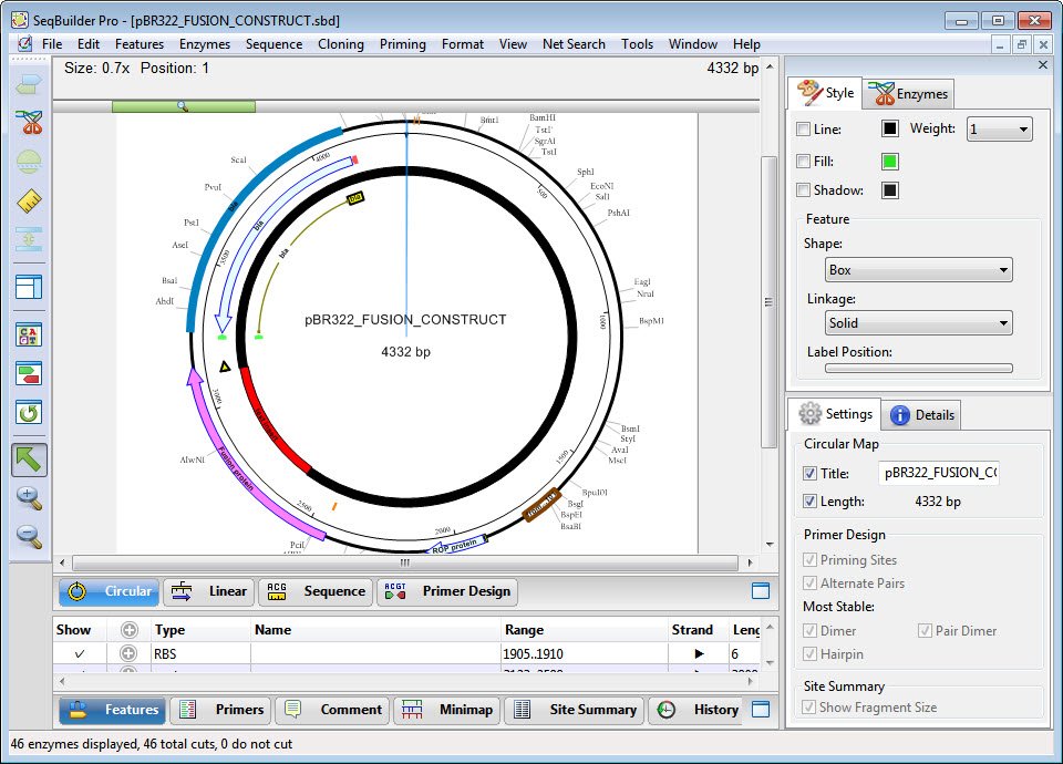 Step 6 (optional): Verify the clone - User Guide to SeqBuilder Pro - 17.4
