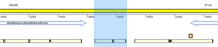 Try it! – Create and modify a feature - User Guide to SeqBuilder Pro - 17.6