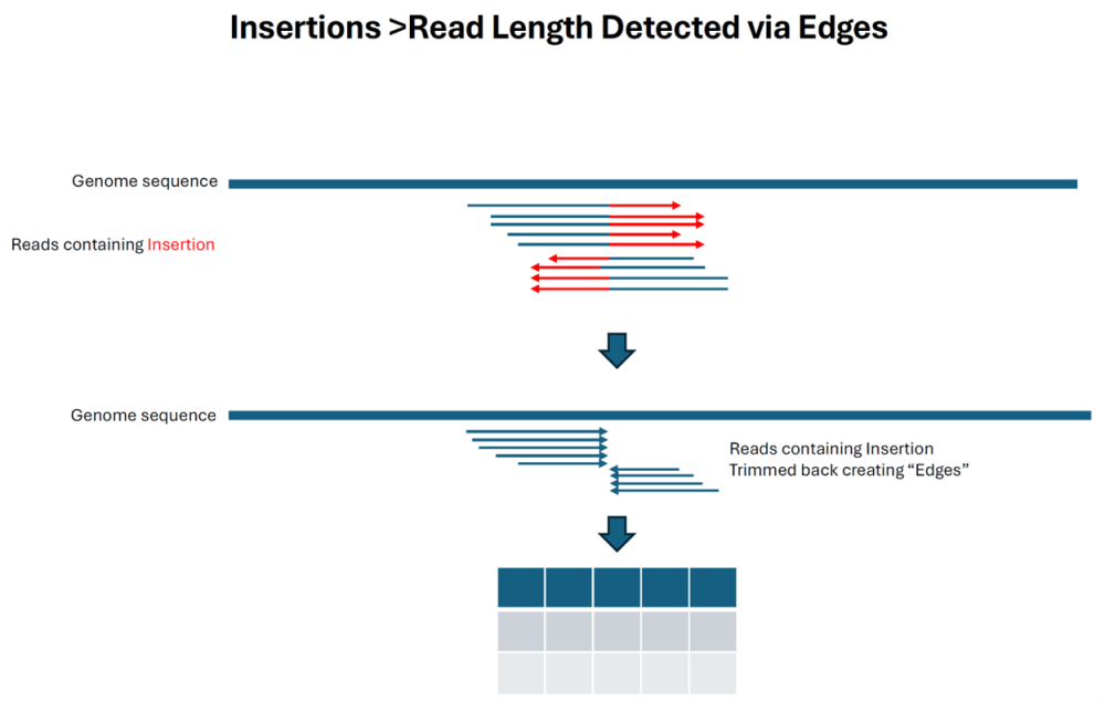 Structural variation calculation in long-read workflows - User Guide to GenVision Pro - 18.0