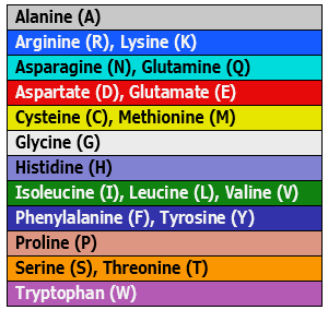 Available color schemes - User Guide to MegAlign Pro - 17.3.1