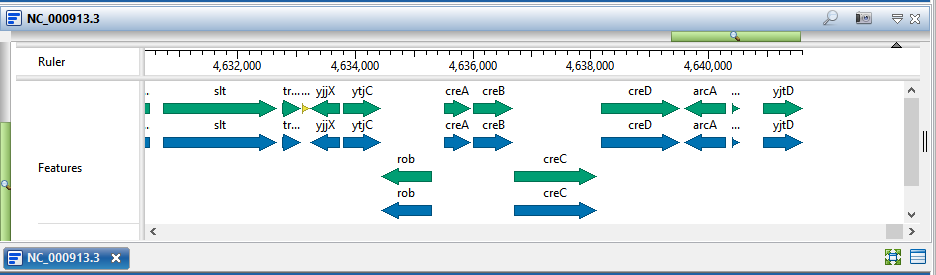 Overview - User Guide to GenVision Pro - 17.3.1