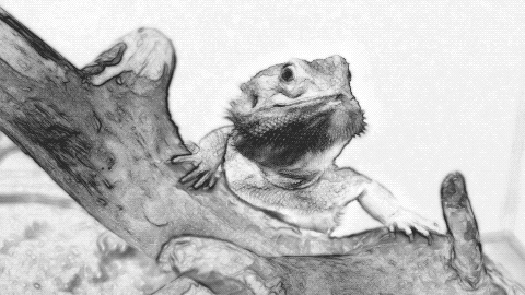 Edge Distortion - HitFilm - 2022