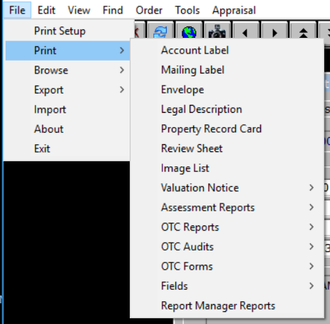 File and Print Reports - Assessment File - 1