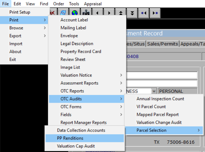 PP Rendition Audit Report - Assessment File - 1