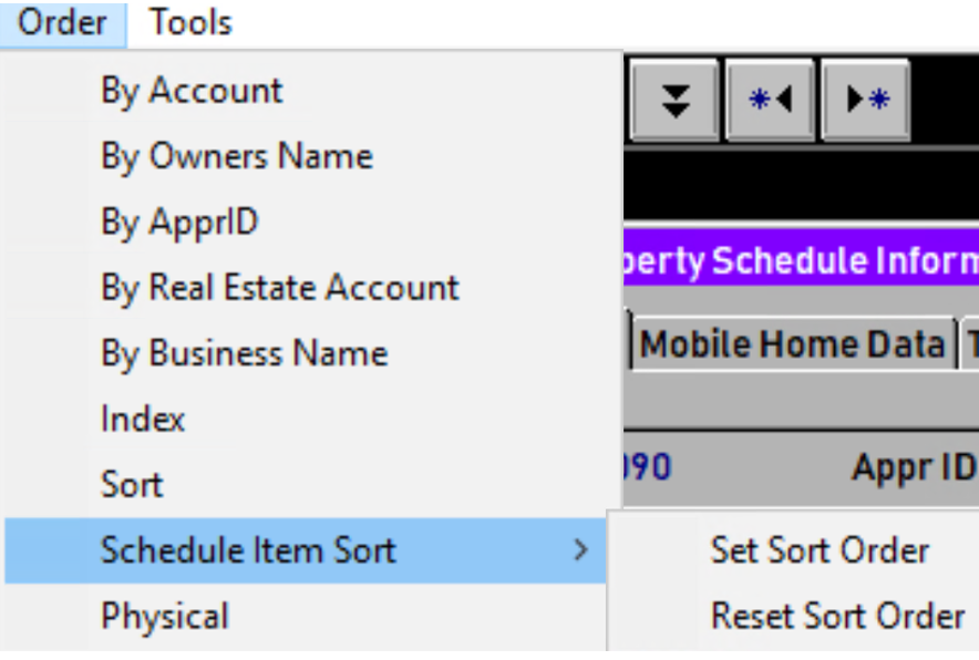 Sorting Schedule Listings - Personal Property Appraisal File - 1
