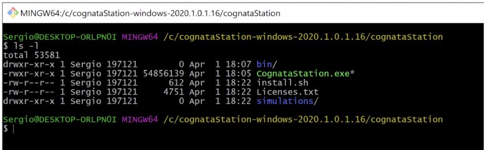 Installation : Windows - Cognata User Manual 2020-03 - 1.8