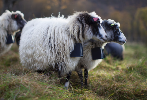 Getting started with Nofence – Videos - Master User Guide - 2025