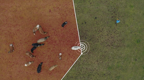 Getting started with Nofence – Videos - Master User Guide - 2025