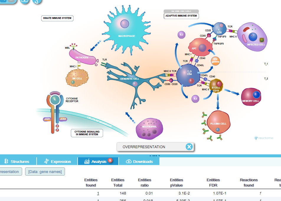 13.5 Reactome Pathway Analysis - IP2 - Integrated Proteomics Pipeline - 1