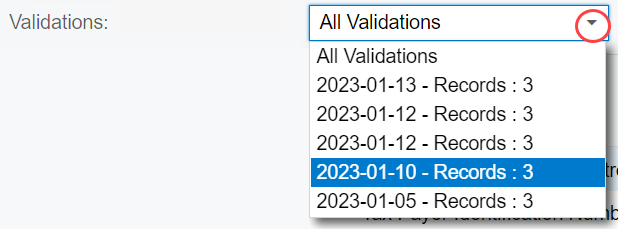 Validation Result Tab - Vendor Validation for Acumatica User Guide - v1