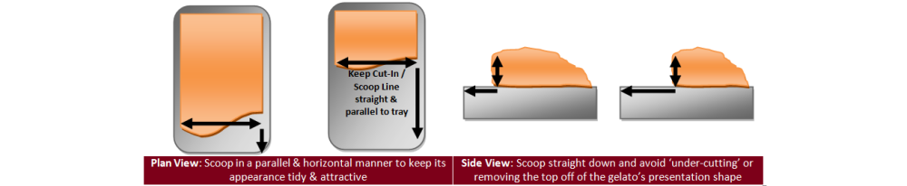 Opening & Daily Procedures - Induction - 1
