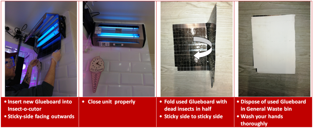 16. Insect-O-Cutor Machines - Induction - 1